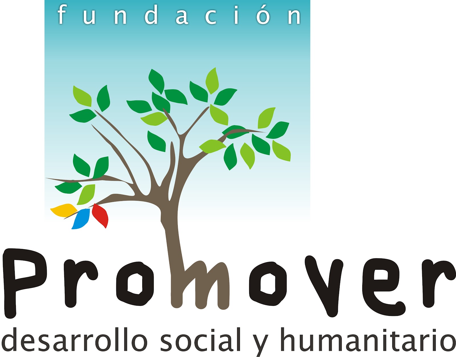 Fundacion Promover DSH